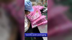 Laundry Pods Plastic Zipper Bag: Child Proof Moisture-Proof B2B Wholesale Custom
