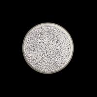 China Polymer Compound White Plastic Masterbatch Pellets For Blown Film for sale