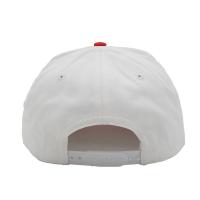China Custom 3D Logo Snapback Baseball Hats 6 Panel Cotton Adjustable 48cm 60cm for sale