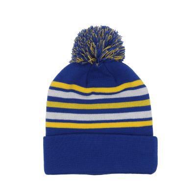 China Customized Service Unisex Winter Hat With 3D Embroidery Logo And Raised Rubber Print for sale