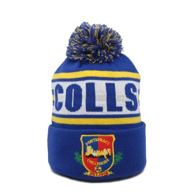 China Customized Service Unisex Winter Hat With 3D Embroidery Logo And Raised Rubber Print for sale