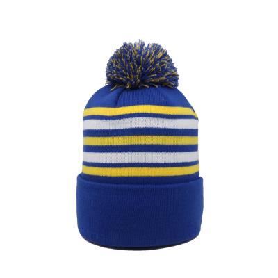 China Customized Service Unisex Winter Hat With 3D Embroidery Logo And Raised Rubber Print for sale