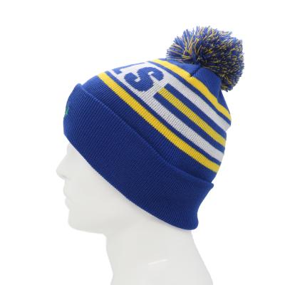 China Customized Service Unisex Winter Hat With 3D Embroidery Logo And Raised Rubber Print for sale