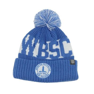 China Custom Jacquard 3D Embroidered Winter Hats For Baby And Adult In Image Style for sale