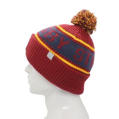 China Custom Embroidery Logo Kids Knitted Winter Warm Beanies With Pom Pom Fleece Lined for sale