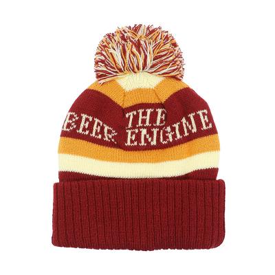 Cina Argyle Pattern Pom Pom Beanie a maglia maschile con etichetta ricamata e cappelli personalizzati in vendita