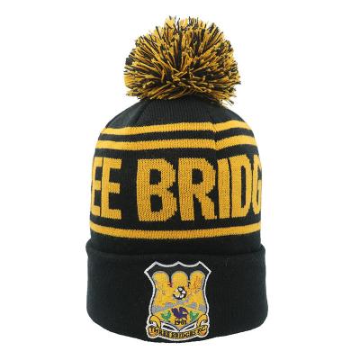 Cina Immagine Stile Moda OEM ODM ricamo Cappelli Unisex 100% cotone Cappelli invernali personalizzati in vendita
