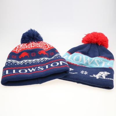 Cina Protezione dell'ambiente Cappello invernale Rpet Cappello a bollitore realizzato con bottiglie di plastica riciclata in vendita