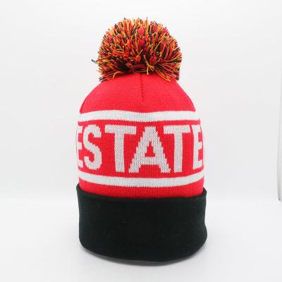 Cina Low MOQ Customized Mohair Pom Pom Beanie con tipo di modello solido e pelliccia in vendita