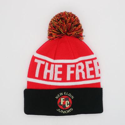 Cina Low MOQ Customized Mohair Pom Pom Beanie con tipo di modello solido e pelliccia in vendita