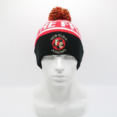 Cina Low MOQ Customized Mohair Pom Pom Beanie con tipo di modello solido e pelliccia in vendita