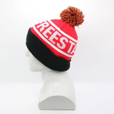 Cina Low MOQ Customized Mohair Pom Pom Beanie con tipo di modello solido e pelliccia in vendita
