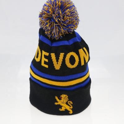 China Image Style 3D Embroidery Bobble Hats For Adults' Winter Accessories for sale