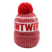 China Custom Embroidered Knitted Beanie Hat Winter Accessories 58cm Acrylic Wool for sale