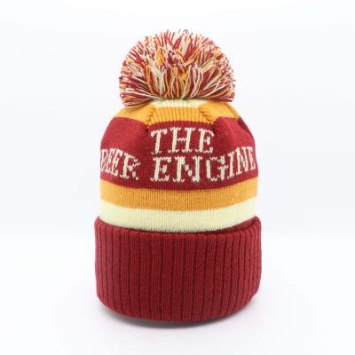 Cina Adulti Cappuccio a maglia caldo invernale con logo personalizzato e materiale acrilico 100% confortevole in vendita