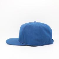 China Custom RPET Canvas Structured Flat Bill Snapback Baseball Cap 8 oz 12 oz for sale