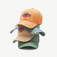 China Eco Distressed Washed Cotton 6 Panel Structured Curved Brim Baseball Cap 8 oz for sale