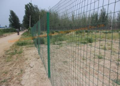 Cina Recinto galvanizzato ad alta resistenza del collegamento a catena, recinto rivestito del collegamento a catena del vinile temporaneo in vendita