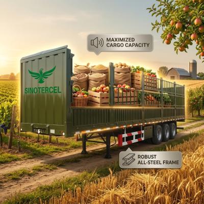 China 40ft Container Semi Trailer 30 Ton 20ft Semi Trailer For Cargo for sale