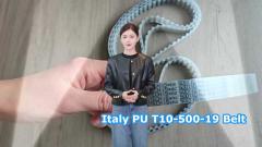 Italy PU T10-500-19  For Cutting Machine