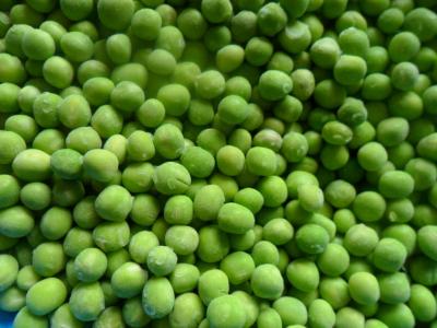 China Frozen IQF Green Peas for sale