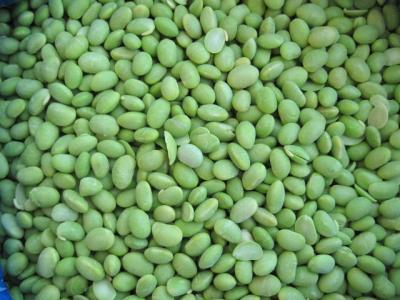 China Frozen IQF Soy Bean Kernel for sale