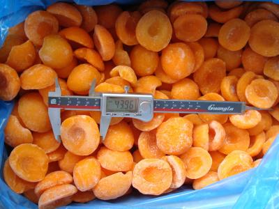 China IQF Frozen Apricot Dices for sale