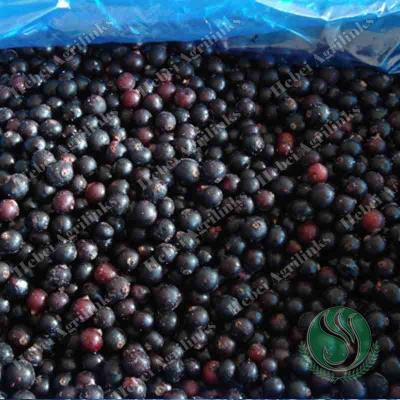 China Frozen Blackcurrant for sale