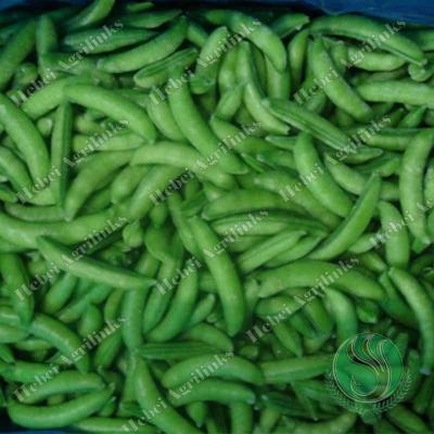 China frozen Sugar snap pea for sale