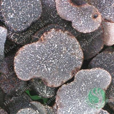 China Frozen Truffle for sale