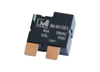 China IVY Automotive Latching Solid State Relay , 80A Electromagnetic Relay For Smart Home Device for sale