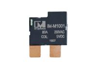 China IVY Automotive Latching Solid State Relay , 80A Electromagnetic Relay For Smart Home Device for sale