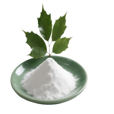 China Boost Your Product'S Efficiency With Beta Cyclodextrin Supplements ≤0.10 Light-Absorbing Impurities for sale