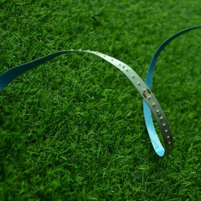 China Colorful 2110 Waterproof Strip lights outdoor lighting LED Strip Light for Christmas Flexible LED Strip for sale