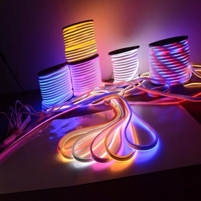 China High quality 360 Degree outdoor Decoration waterproof LED Neon rope light for sale