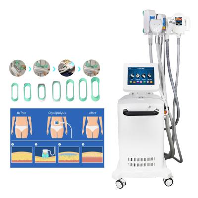 Китай Охлаждая скульптура Cryolipolysis уменьшая машину для жирного уменьшения продается
