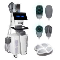 China Ems Slimming Body Shaping Machine 2/4 Handle for sale