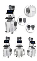 China Ems Slimming Body Shaping Machine 2/4 Handle for sale