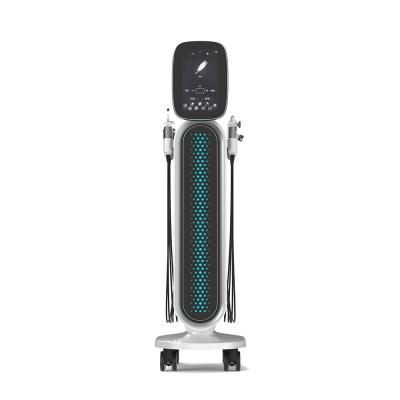 China Guida completa alle cure: manutenzione della macchina HydraFacial per prestazioni ottimali for sale