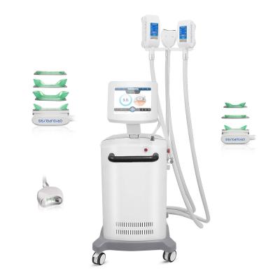 Китай Машина Cryolipolysis для жирного замерзая 360° большая зона охлаждать контакта продается