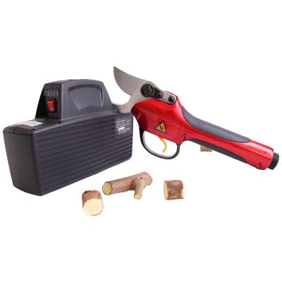 China SWANSOFT Electric Pruning Shears Portable Pruner Telescopic Tree Pruner With CE for sale