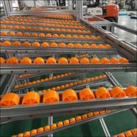 China Steel Carton Flow Racking System Live Storage Customized Development for sale