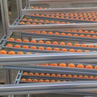 China Steel Carton Flow Racking System Live Storage Customized Development for sale