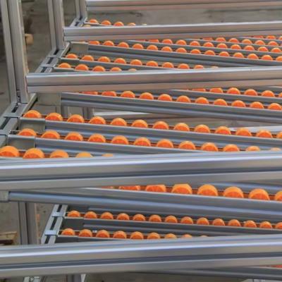 Cina Steel Carton Flow Racking System Live Storage Customized Development in vendita