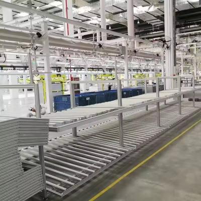 Cina Steel Carton Flow Racking System Live Storage Customized Development in vendita
