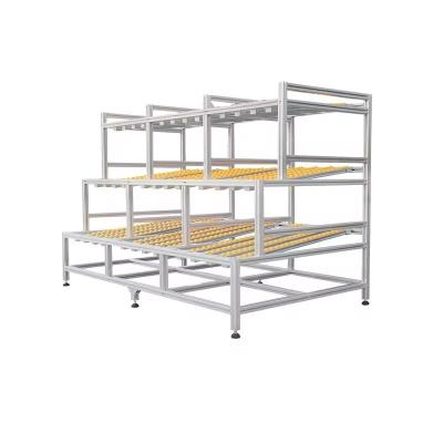 Cina Metal Carton Flow Rack Gravity Flow Shelf Warehouse Equipment Within Pallet Racking in vendita