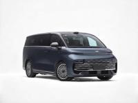 China Geely Galaxy V900 for sale