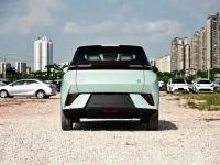 China BYD Seagull for sale