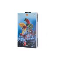 Quality 20KW Heat Output LPG Natural Draft Gas Water Heater Smooth Exhaust System for sale