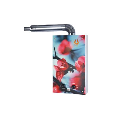 China Tempered Glass Panel 12 Liter Gas Water Heater Flue Type Elegant Home Format for sale